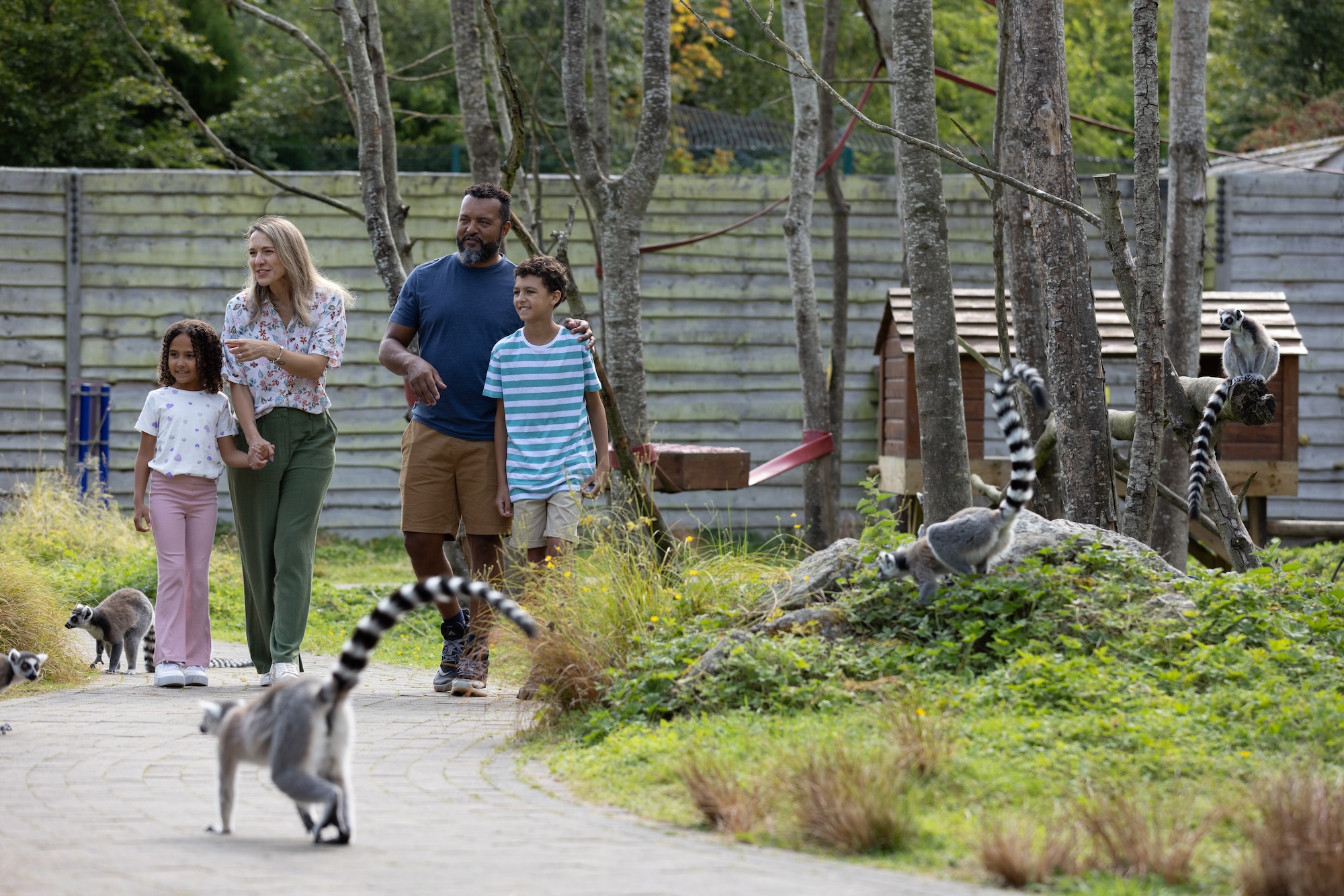 Emerald Park | Opening Hours | Theme Park & Zoo